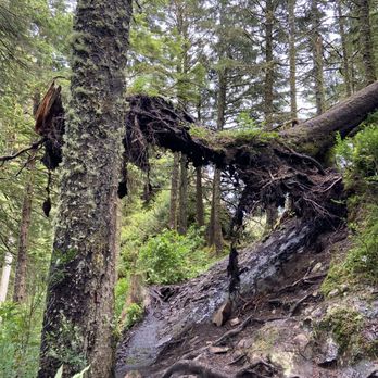 NEAHKAHNIE MOUNTAIN - Updated August 2025 - 46 Photos & 19 Reviews ...