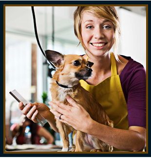 BILL WUNDERLICH’S NORTH OAKS KENNELS - Updated August 2025 - 11 Reviews ...