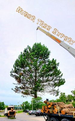 HUBER TREE EXPERT - Updated January 2026 - 114 Photos & 33 Reviews ...