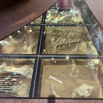 WESTERN SCIENCE CENTER - Updated May 2024 - 227 Photos & 67 Reviews ...