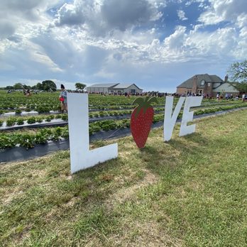 PECAN CREEK STRAWBERRY FARM - Updated December 2025 - 69 Photos & 22 ...