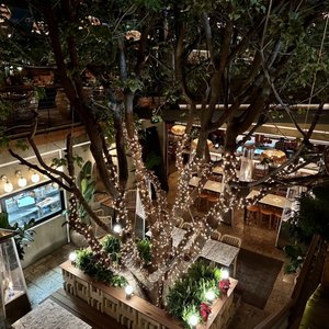 MIRATE - 193 Photos & 94 Reviews - 1712 N Vermont Ave, Los Angeles, CA ...