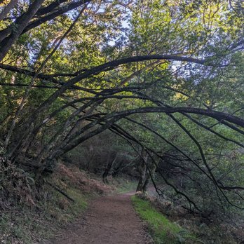 SHELL BEACH - Updated December 2025 - 35 Photos & 17 Reviews - Tomales ...