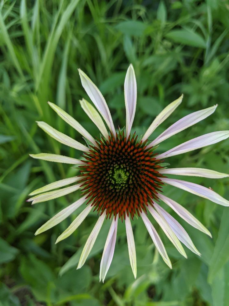 PRATHER PARK - Updated June 2025 - 90 Photos & 10 Reviews - 12575 River ...