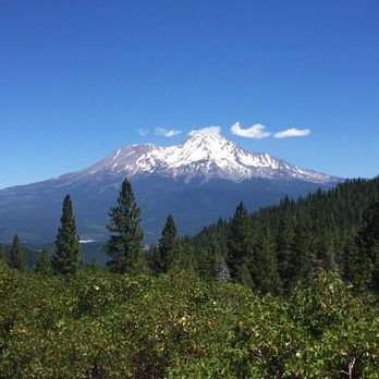 CASTLE LAKE CAMPGROUND - Updated July 2024 - 43 Photos & 14 Reviews ...