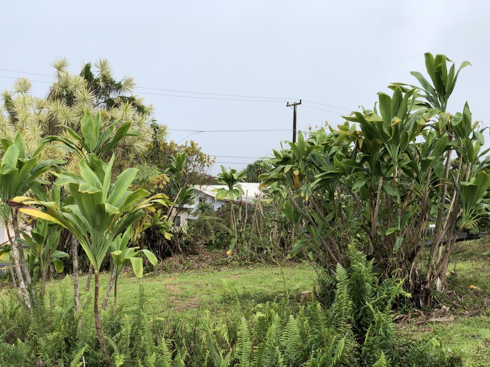 PAIEA LANDSCAPE SERVICES - Updated November 2024 - 26 Photos - 1560 ...