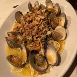 BACARO ITALIAN TAVERN - Updated December 2025 - 364 Photos & 449 ...