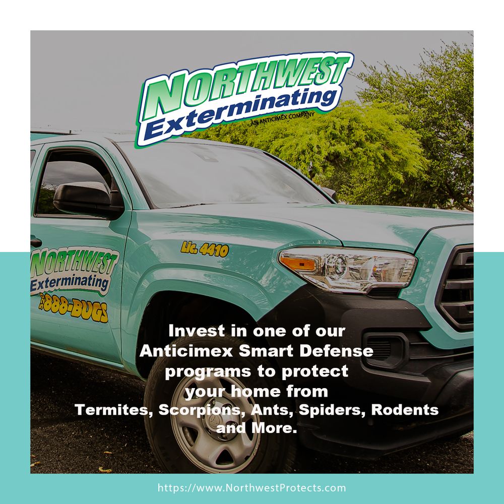 NORTHWEST EXTERMINATING - Updated October 2025 - 12 Photos & 48 Reviews ...