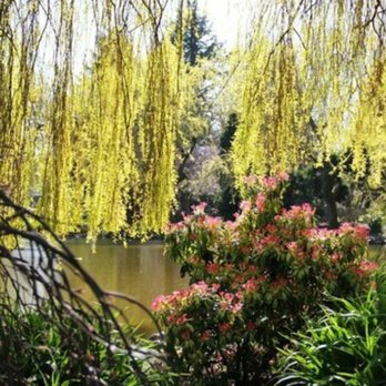 MINORU PARK - Updated December 2025 - 137 Photos & 26 Reviews - 7191 ...