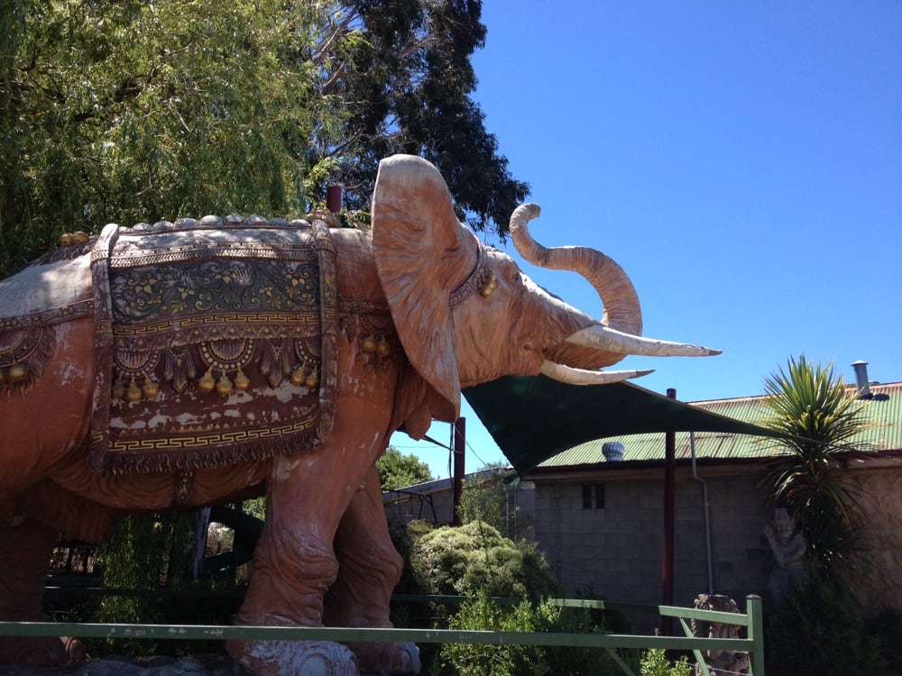 NIMMITABEL LEATHER - Updated December 2024 - 39 Bombala St, Nimmitabel ...