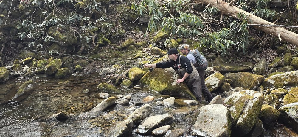 ROCKHOPPER FLY FISHING - Updated May 2025 - Gatlinburg, Tennessee ...