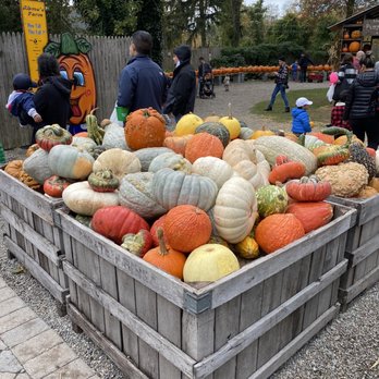 ABMA’S FARM MARKET, GREENHOUSES, AND PETTING ZOO IN WYCKOFF, NJ ...