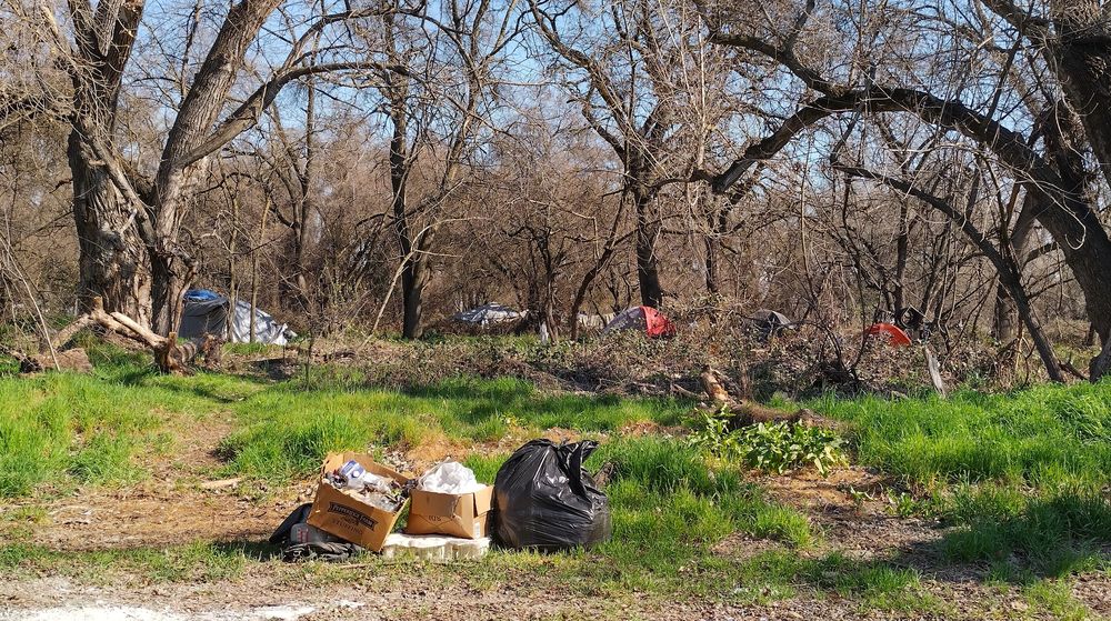 SACRAMENTO VALLEY CONSERVANCY - CAMP POLLOCK - Updated November 2025 ...