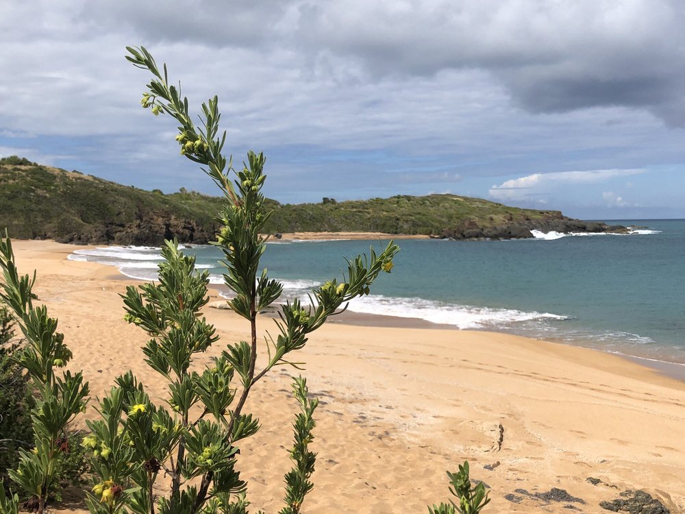 PLAYA COLORA - Updated July 2025 - 14 Photos - Fajardo, Puerto Rico ...