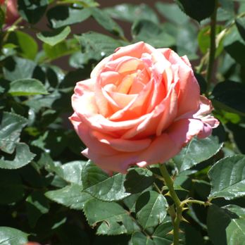 TONY HILLERMAN LIBRARY - Updated October 2025 - 83 Photos & 12 Reviews ...