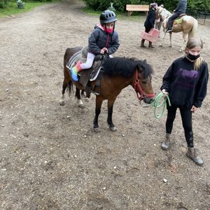 MEMORY LANE STABLES - 126 Photos & 70 Reviews - 8290 Kean Ave, Willow ...