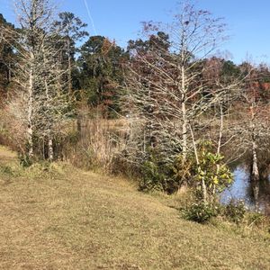 WADE WEHUNT POOL - Updated October 2025 - 14 Photos - 907 Myers Park Dr ...