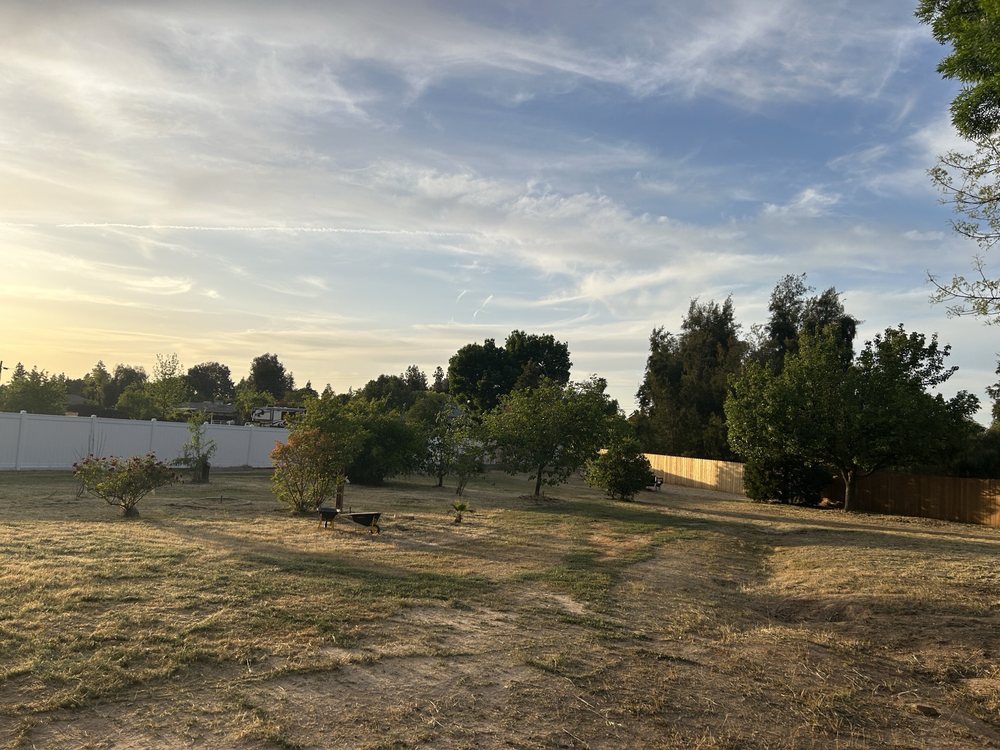 VALENCIA LANDSCAPING AND TREE SERVICES - Updated August 2025 - 44 ...