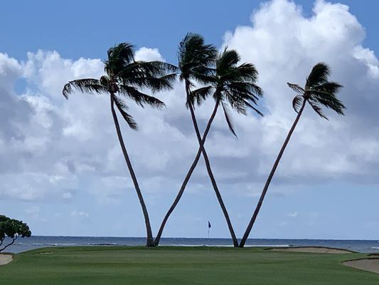 WAIALAE COUNTRY CLUB - 376 Photos & 84 Reviews - 4997 Kahala Ave ...