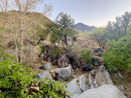 MADERA CANYON - Updated September 2024 - 105 Photos & 20 Reviews ...