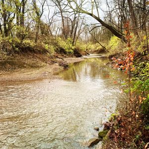 PAUL SCHROEDER PARK - Updated December 2025 - 13 Photos & 15 Reviews ...