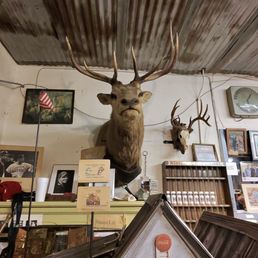 LEONA GENERAL STORE - Updated July 2025 - 252 Photos & 160 Reviews ...