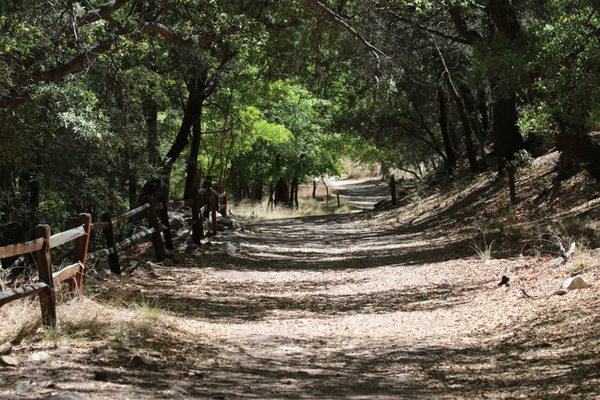 RAMSEY CANYON PRESERVE - Updated August 2025 - 60 Photos & 18 Reviews ...