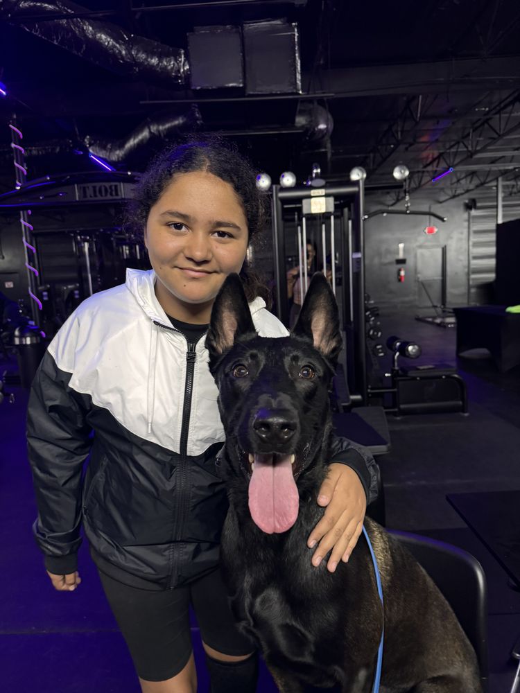 CONNIE TRAINS DOGS - Updated January 2026 - Sugar Land, Texas - Pet ...