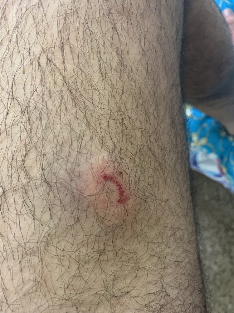 PREDATOR PAINTBALL PARK - 31 Photos & 18 Reviews - 20590 State Hwy 16 N ...