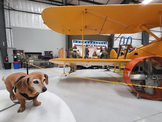 THE ROWLAND FREEDOM CENTER - Updated May 2026 - 23 Photos - 300 County ...