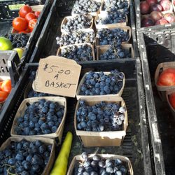 ANDREW BAYNE MEMORIAL LIBRARY - 25 Photos - 34 N Balph Ave, Pittsburgh ...