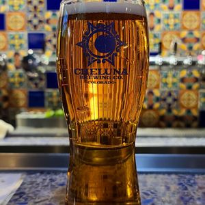 DANICO BREWING COMPANY - 75 Photos & 25 Reviews - 18490 E 66th Ave ...