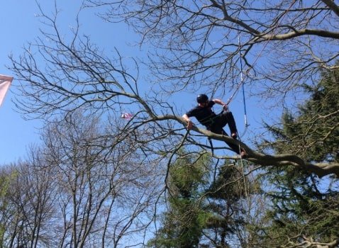 TREE SERVICE CALGARY - Updated December 2025 - 25 Photos - 538 ...