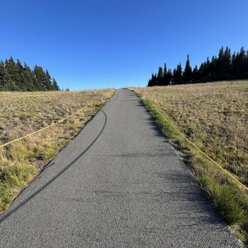 HURRICANE RIDGE - Updated October 2025 - 467 Photos & 106 Reviews - 600 ...