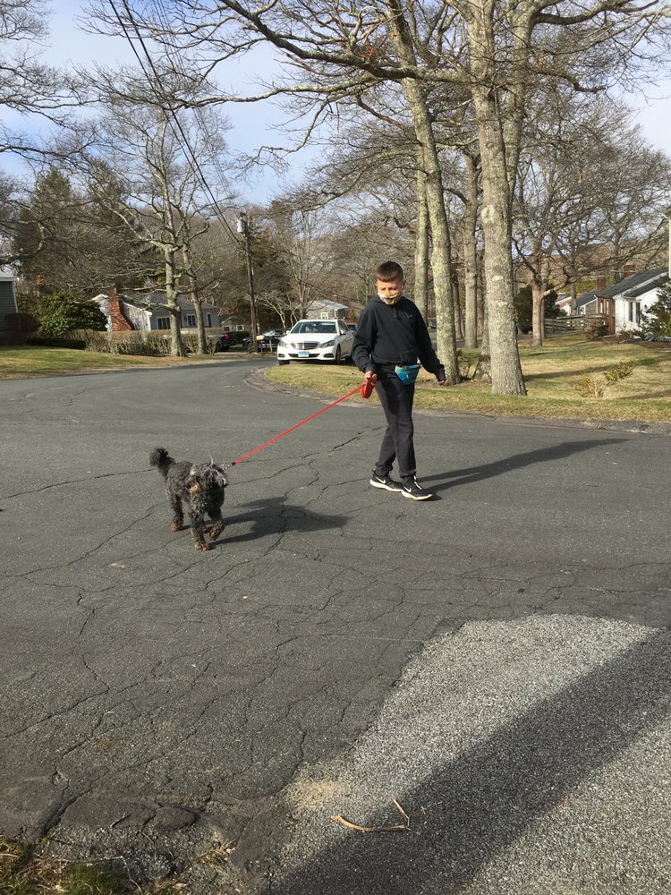 BROTHER WAGGING WALKS - Updated April 2024 - East Sandwich ...