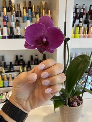 LEVUE NAILS & SPA - Updated October 2025 - 234 Photos & 168 Reviews ...