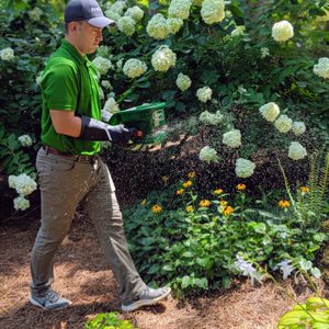 BREDA PEST MANAGEMENT - Updated October 2025 - 11 Photos & 69 Reviews ...