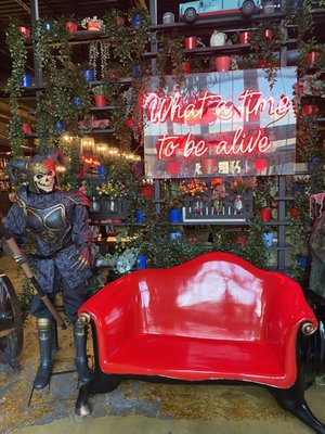 VIVA TORO - 151 Photos & 92 Reviews - 987 Grand St, Brooklyn, New York ...