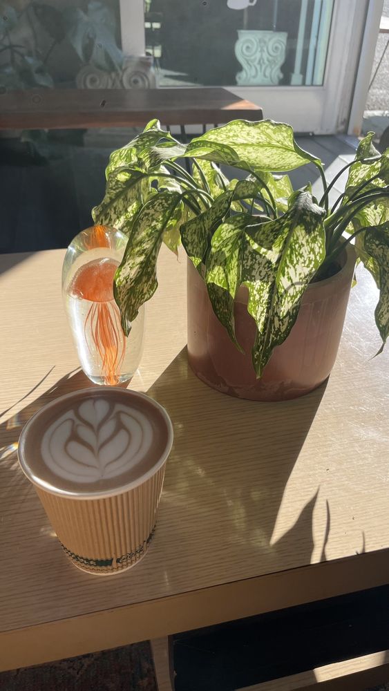 PROVIDED COFFEE - Updated July 2025 - 32 Photos & 13 Reviews - 325 East ...