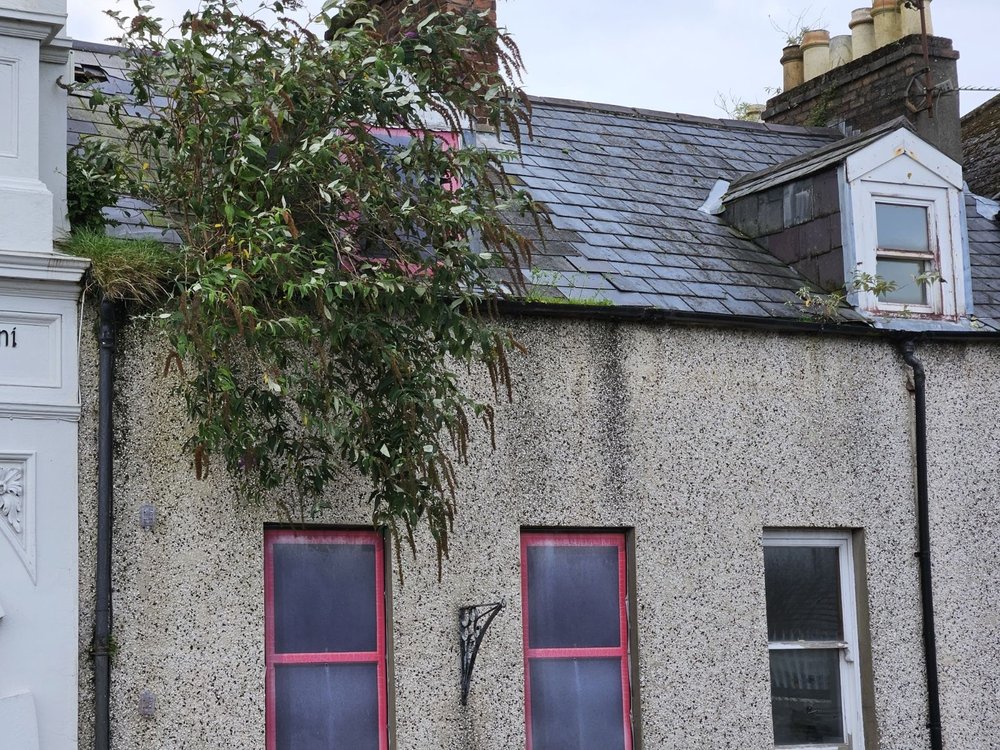 KNOWLES EAVES - Updated January 2025 - Request a Quote - Owen Sound ...