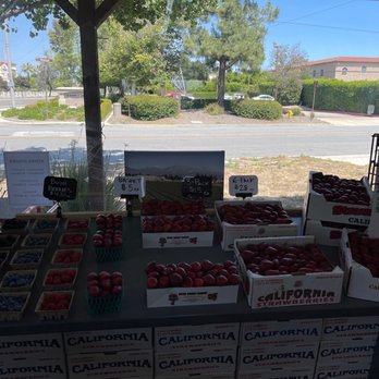 STARBERRY FARMS - Updated October 2024 - 102 Photos & 83 Reviews - 264 ...