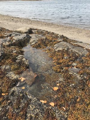 POTT’S POINT PRESERVE - Updated September 2024 - 29 Photos - Potts ...