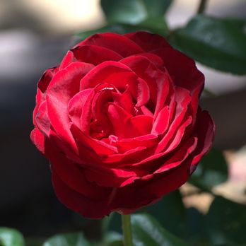 TONY HILLERMAN LIBRARY - Updated October 2025 - 83 Photos & 12 Reviews ...