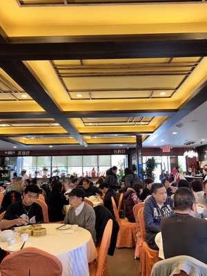 CANTON MANOR - 203 Photos & 62 Reviews - 220-15 Northern Blvd, Bayside ...