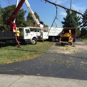 ARBORTECH TREE REMOVAL & PRESERVATION - Updated June 2024 - Louisville, Kentucky - Tree Services ...