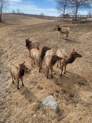 JESTER PARK NATURE CENTER - Updated December 2025 - 70 Photos - 12130 ...