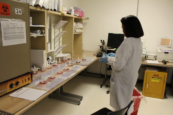 SIMPLE LABORATORIES - Updated December 2025 - 15 Photos - 5960 N ...