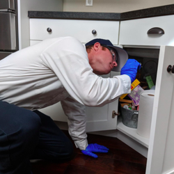 MOXIE PEST CONTROL DENVER - 54 Photos & 193 Reviews - Pest Control ...