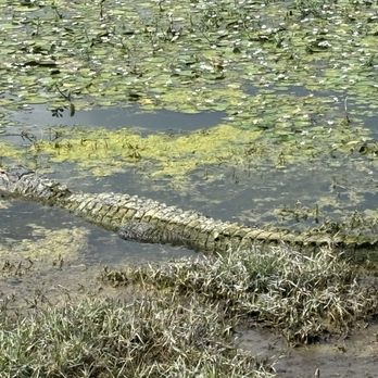 ATLANTIC NATIONAL GOLF CLUB - Updated January 2026 - 26 Photos & 52 ...