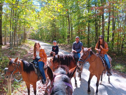 DOUBLE J HORSE AND TRAIL - Updated July 2025 - 311 Copley Cemetery Rd ...